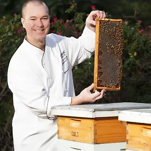 Fairmont Dallas: What To Expect From 4 star Hotel With ...